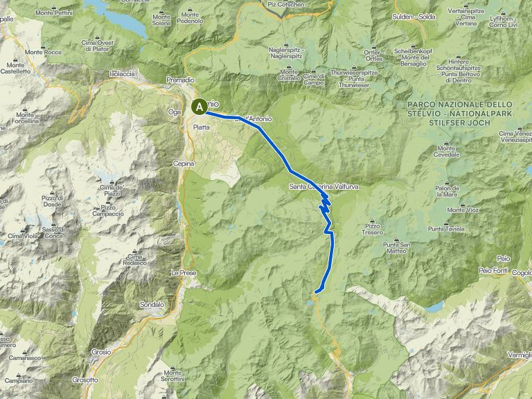 Ascent to Passo Gavia from Bormio | road ride | Komoot